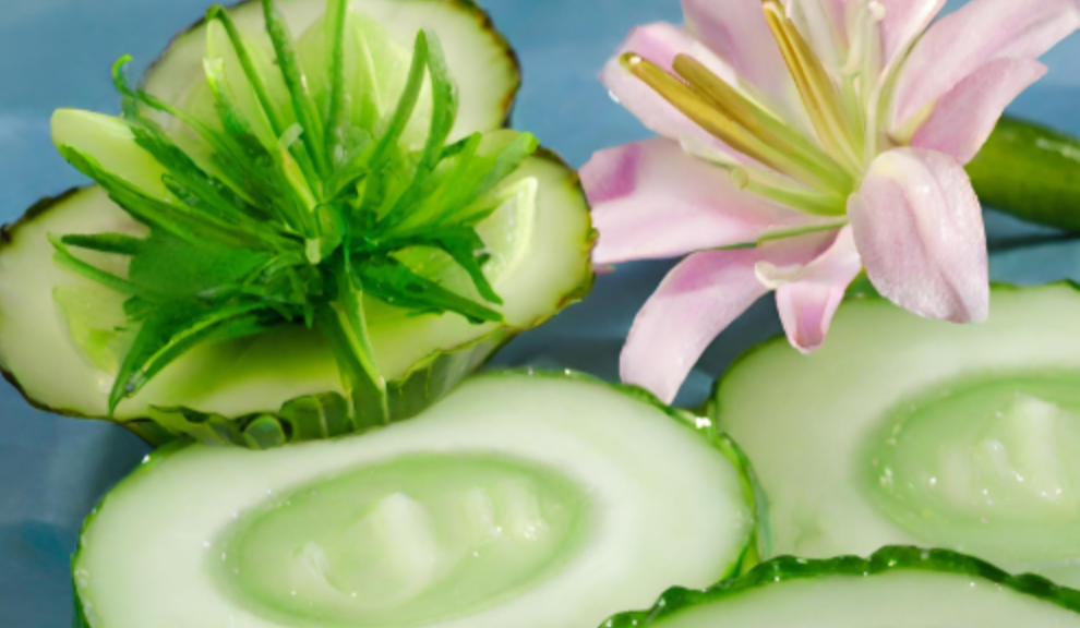 Sea Lily & Cucumber - NEW! – Keystone Candle Supply