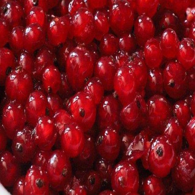 Red Currant (PEAK) – Keystone Candle Supply